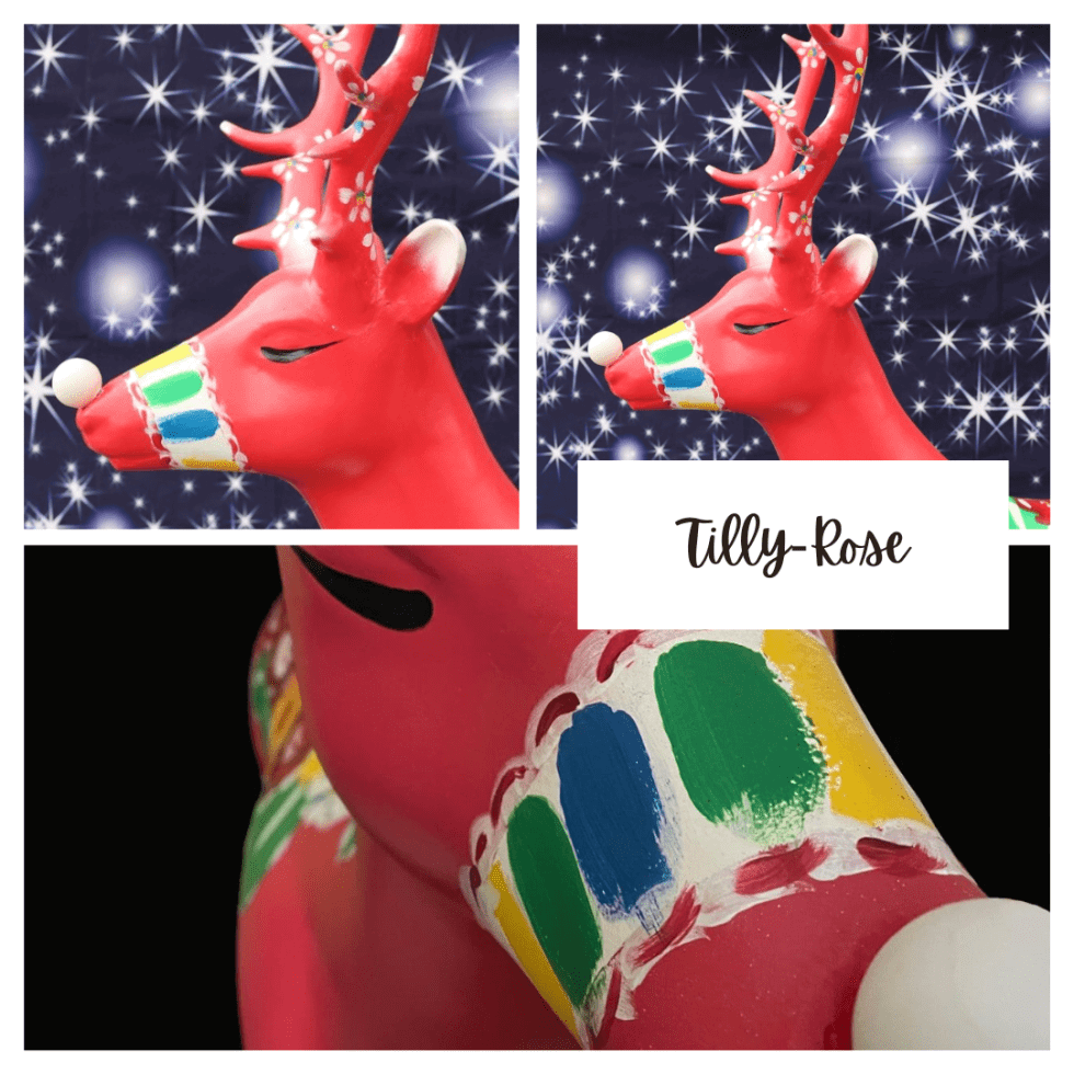 Tilly-Rose - Gloucester BID - Business Improvement District